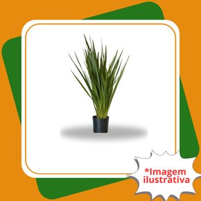 "Muda de Formio Verde: planta resistente e elegante, ideal para jardins ...