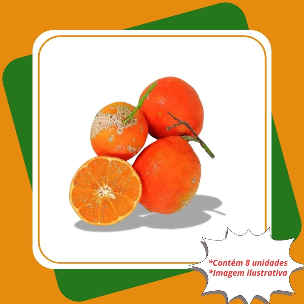 Kit Com 8 Mudas De Limão Comum + Frete Grátis Para Sul e Sudeste